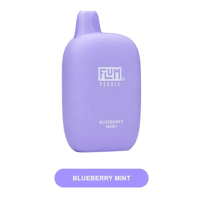 Shop FLUM Pebble 6000 Puff | GlenVape